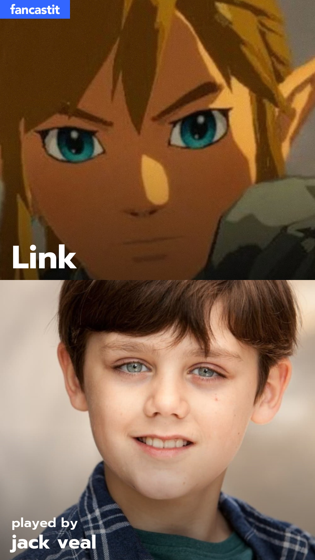 Link in Legend of Zelda | FanCastIt